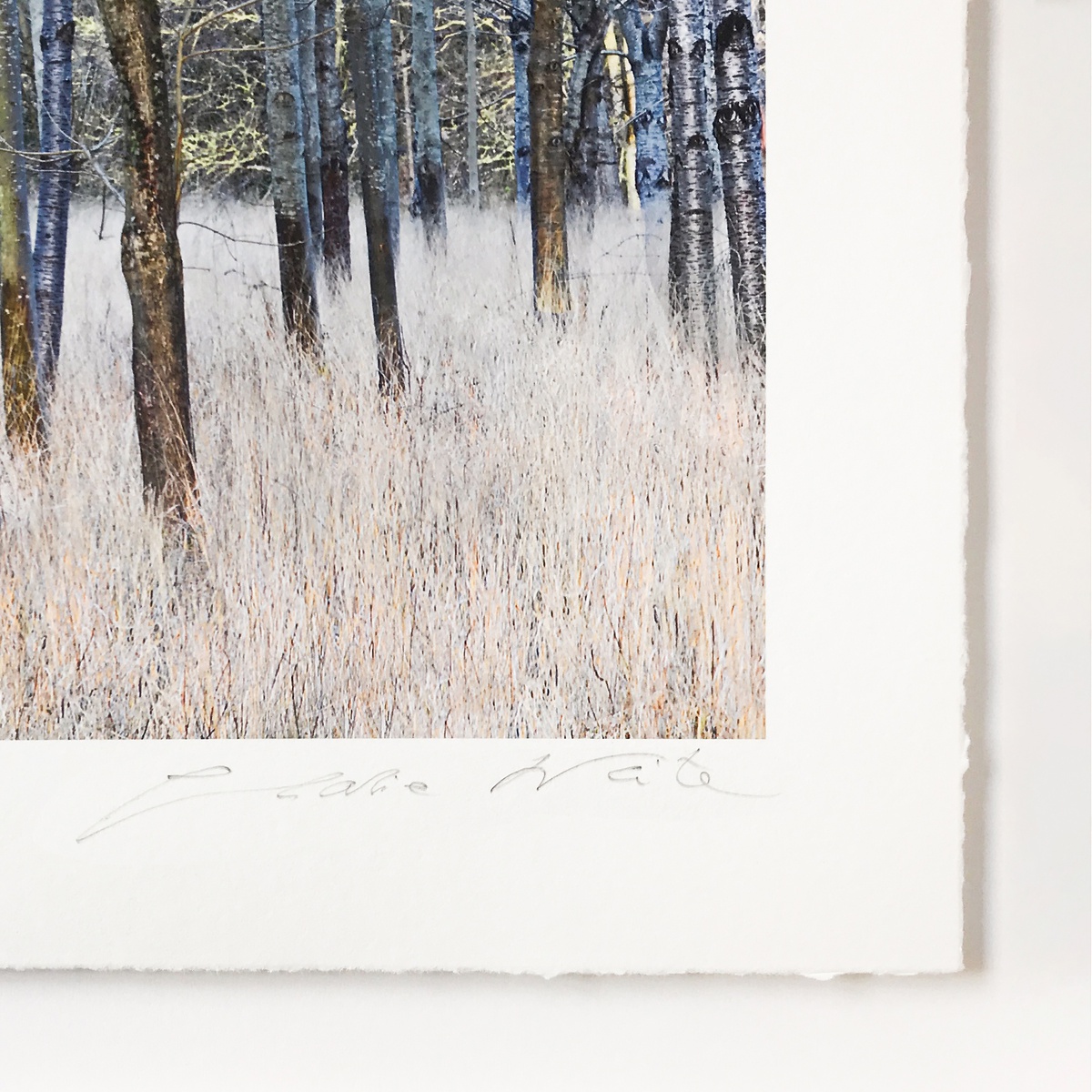 Business courses and services for photographers | Bosham Gallery